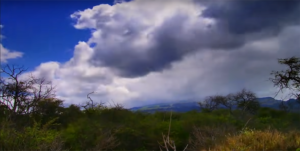 How Fast Do Clouds Move? - WeatherStationPro