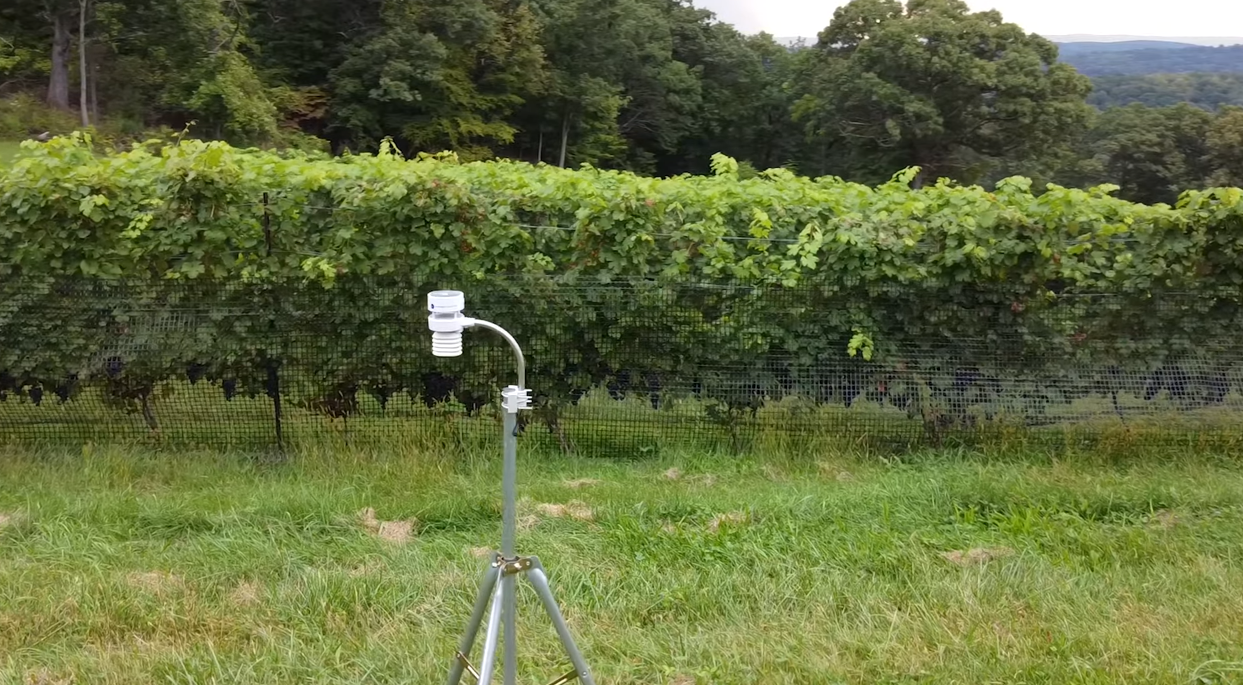 Ambient Weather WS-2000 vs. WS-5000: Which is Better? - WeatherStationPro