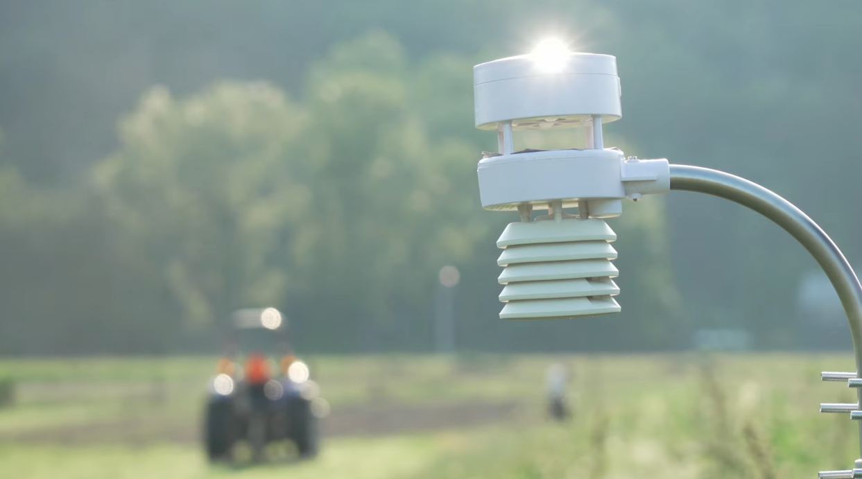 Ambient Weather WS-2000 vs. WS-5000: Which is Better? - WeatherStationPro